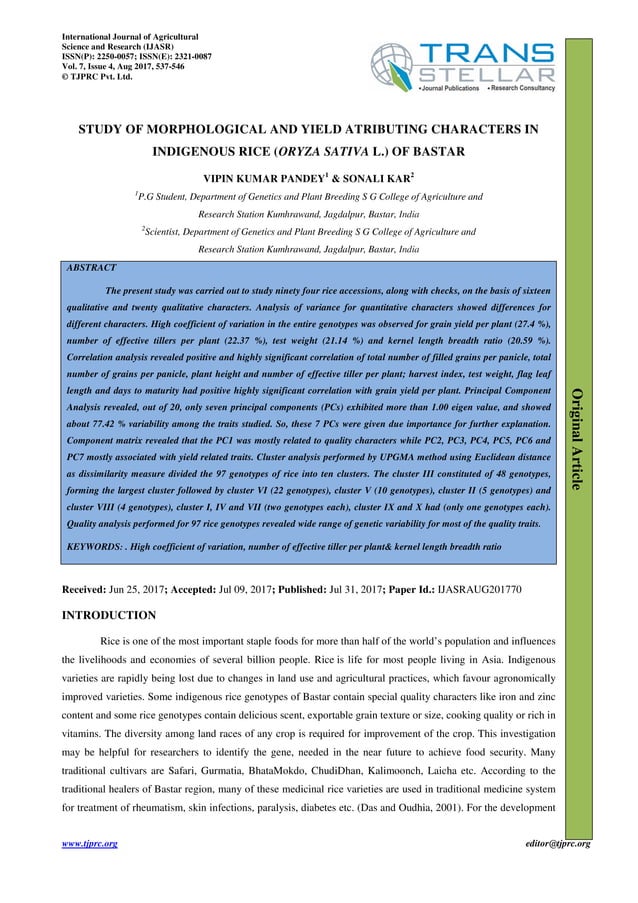 STUDY OF MORPHOLOGICAL AND YIELD ATRIBUTING CHARACTERS IN INDIGENOUS RICE (ORYZA SATIVA L.) OF ...