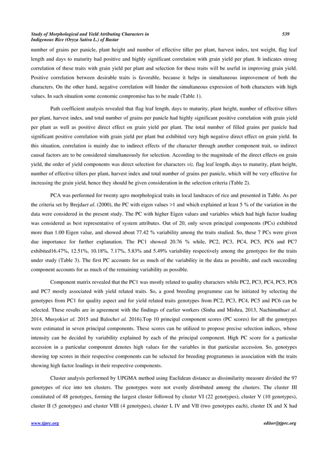 STUDY OF MORPHOLOGICAL AND YIELD ATRIBUTING CHARACTERS IN INDIGENOUS ...