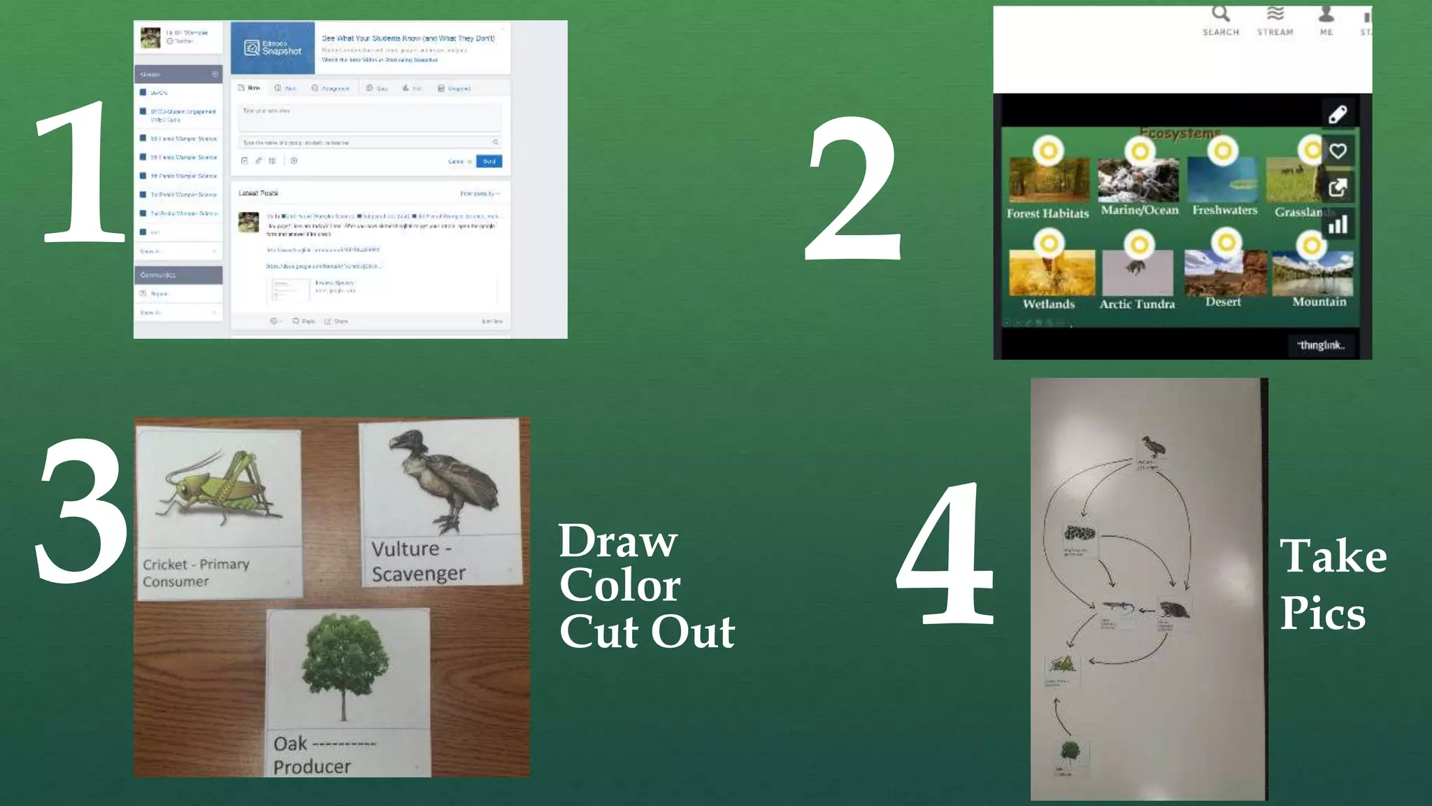 2 5 food web gif lab ms.ls2