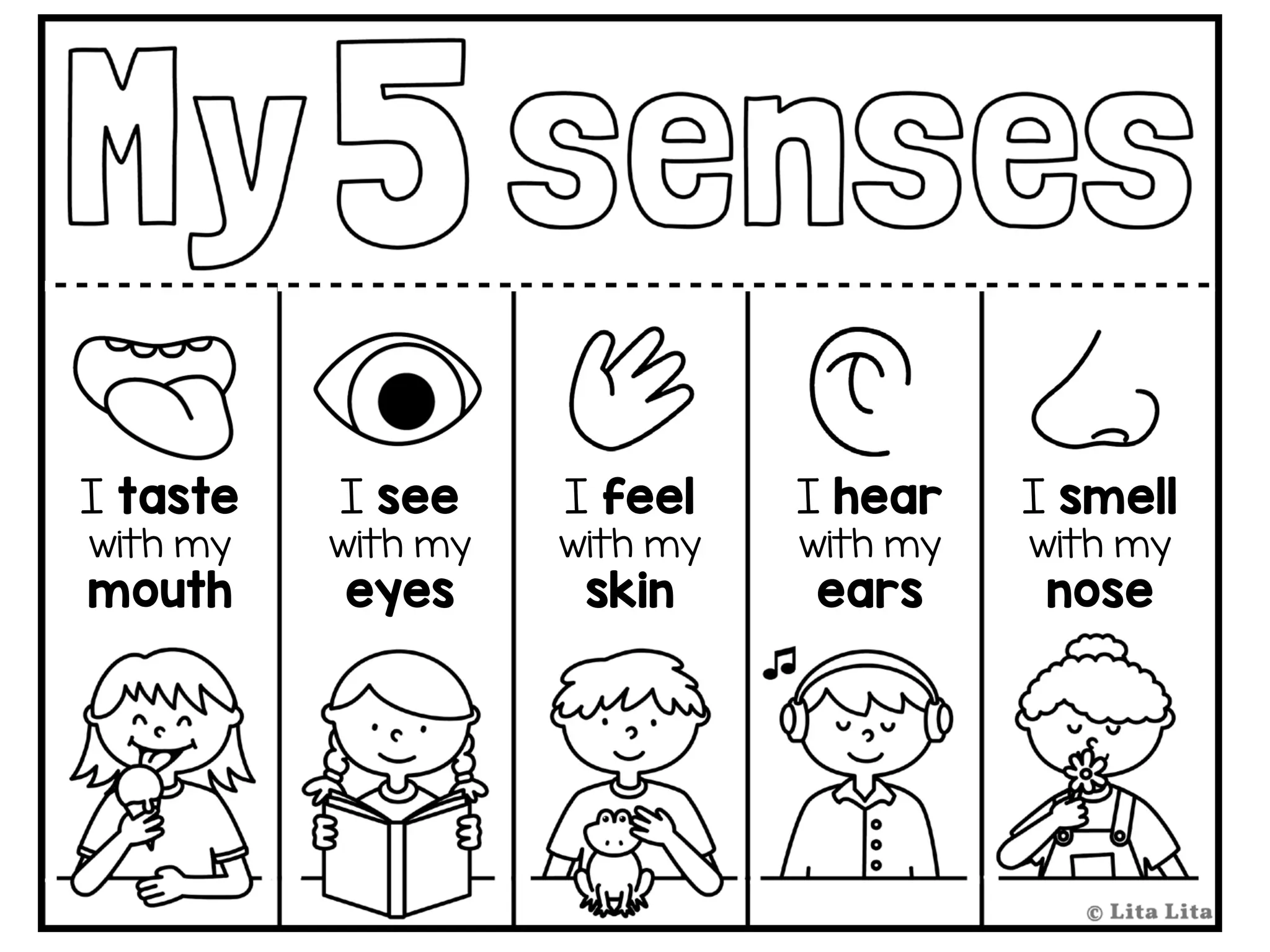 los5 sentidos actividades inglesy español.pdf