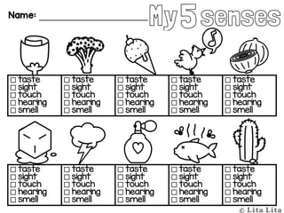 los5 sentidos actividades inglesy español.pdf