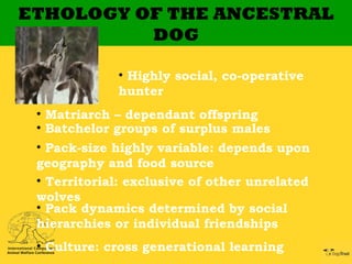 2.6 The Bear Necessities of Life - Dr Roger Mugford | PPT