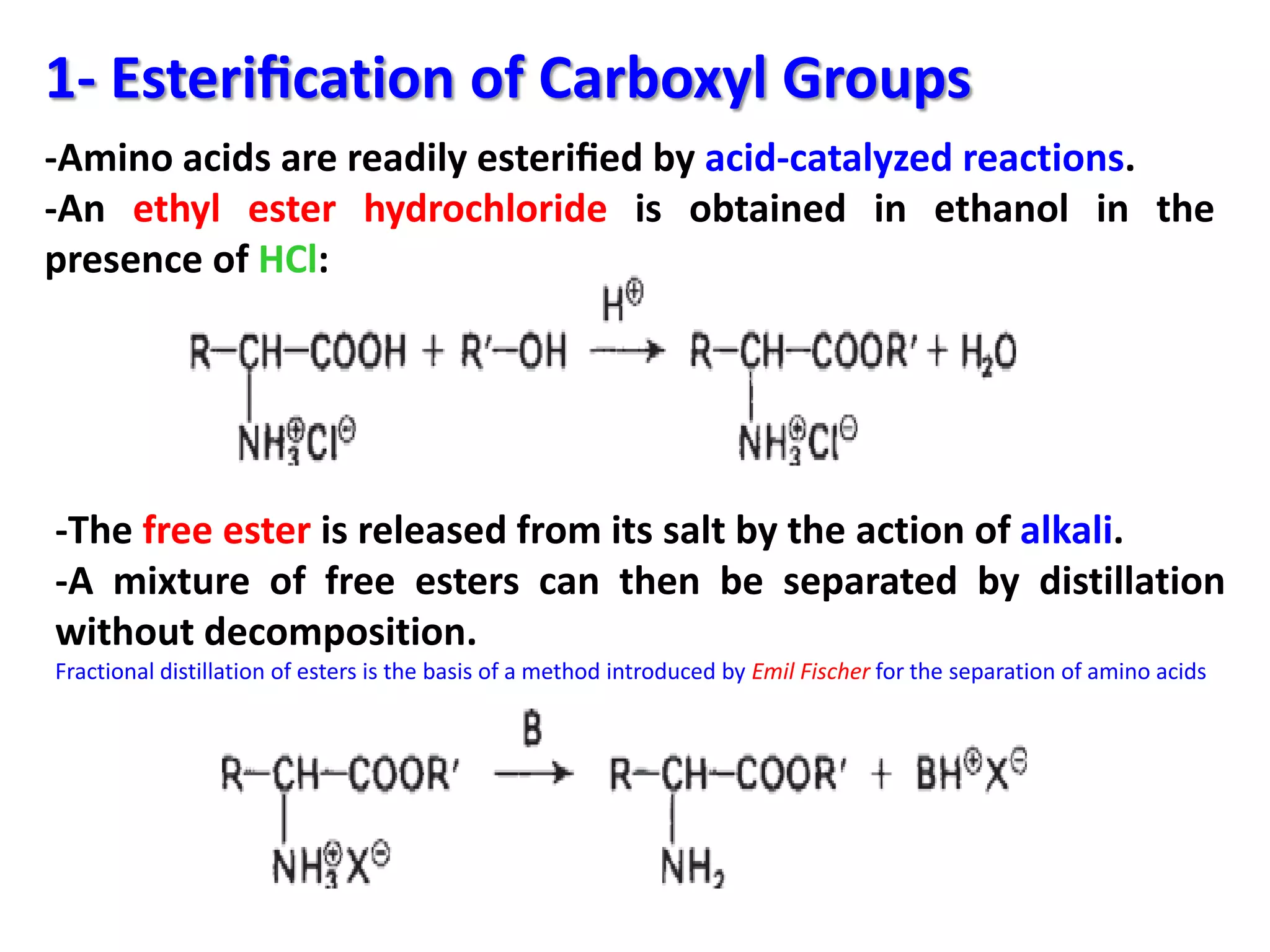 Characteristics and Properties of Amino Acids (AA) | PDF