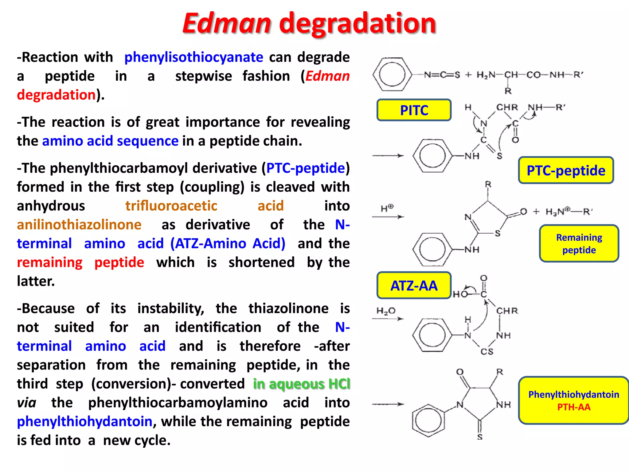 Characteristics and Properties of Amino Acids (AA) | PDF