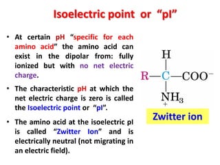 Characteristics and Properties of Amino Acids (AA) | PDF