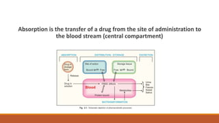 2-Absorption of the drug from body .pptx