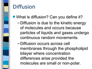 2. Absorption & Secretion Of Materials | PPT