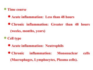 2 acute inflammation | PPT