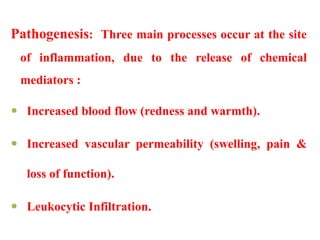 acute inflammation | PPT