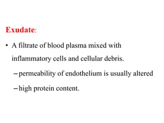 acute inflammation | PPT