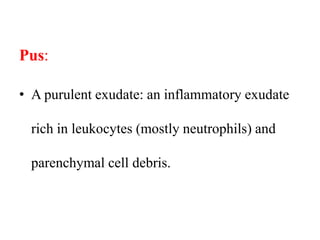 acute inflammation | PPT