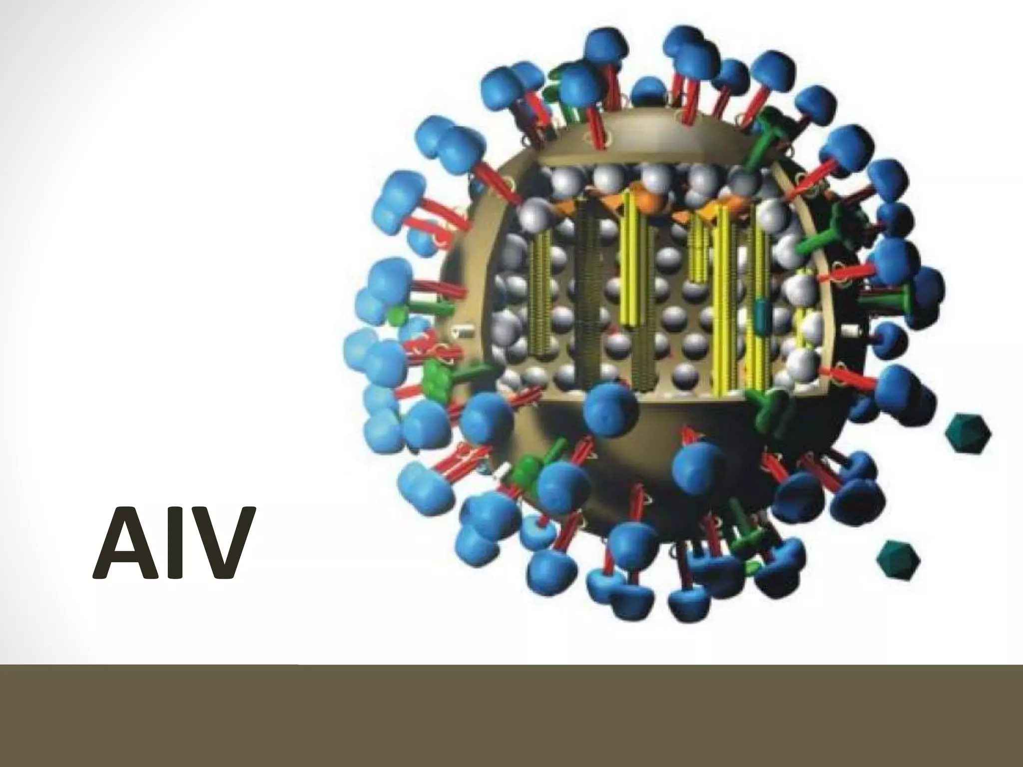 Avian Influenza Virus | PPTX