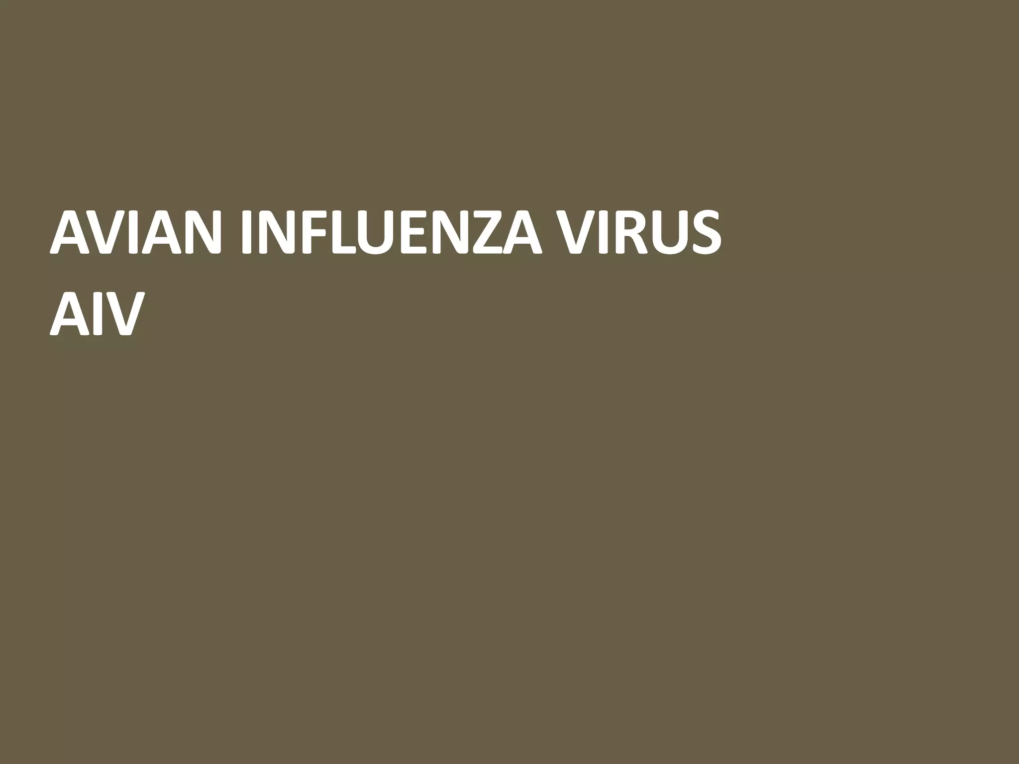 Avian Influenza Virus | PPTX