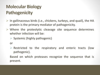 Avian Influenza Virus | PPTX