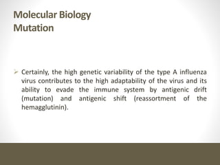 Avian Influenza Virus | PPTX