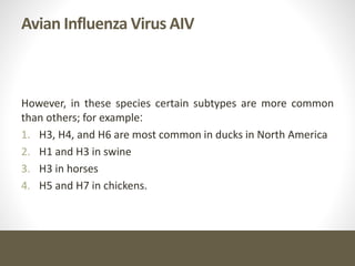 Avian Influenza Virus | PPTX