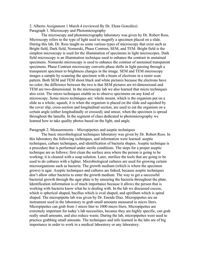 Alberto Assignment 1 | PDF