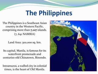 Amazing Facts about Filipino Culture | PPTX