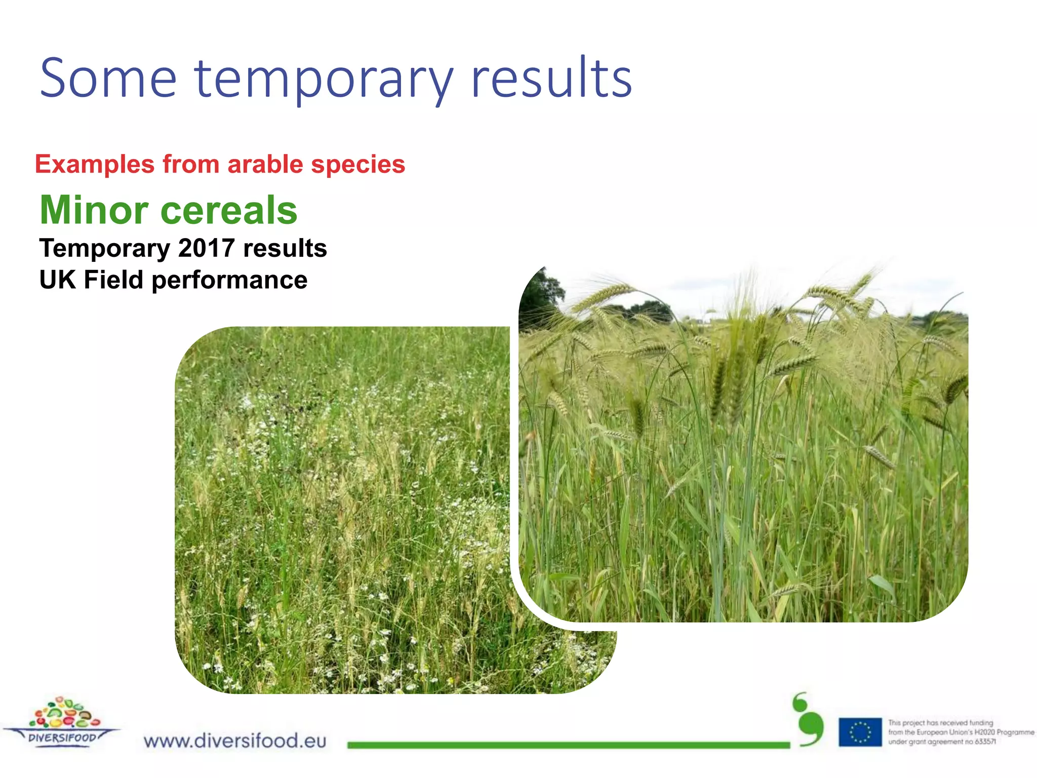 Underutilized and forgotten crops: Definitions and concepts - Ambrogio ...