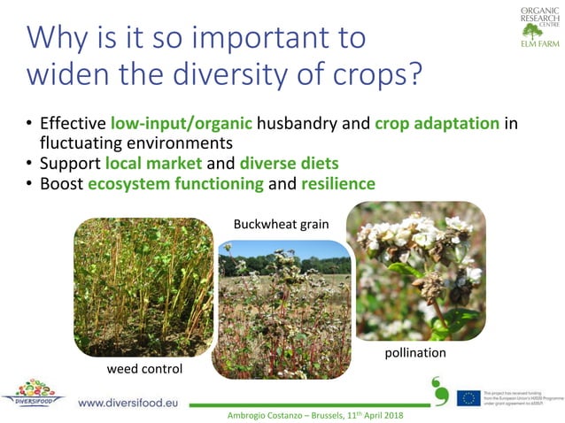 Underutilized and forgotten crops: Definitions and concepts - Ambrogio ...