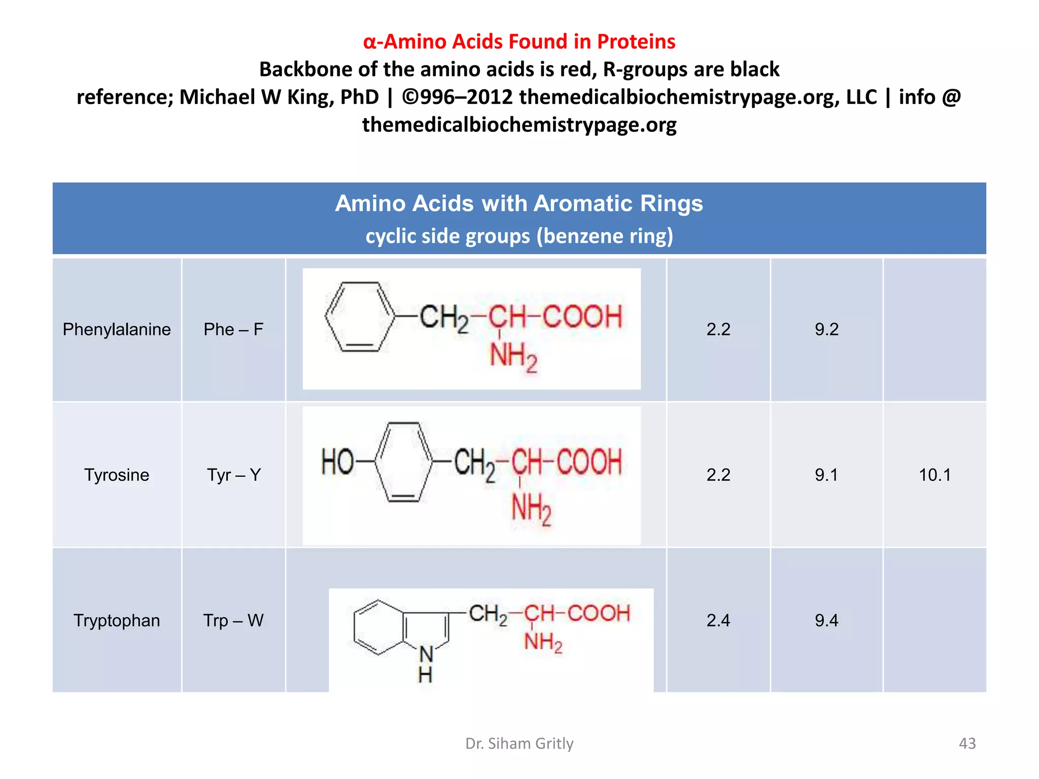 2 amino acids and proteins lecture 2 | PPTX