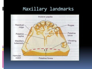 2-Anatomical land mark.pptx