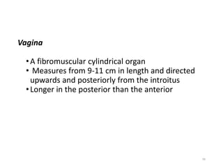 2-ANATOMY%20AND%20PHYSIOLOGY%20-%20Copy.ppt