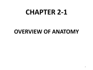 2-ANATOMY%20AND%20PHYSIOLOGY%20-%20Copy.ppt