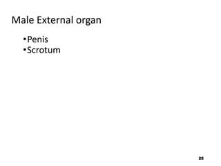 2-ANATOMY%20AND%20PHYSIOLOGY%20-%20Copy.ppt