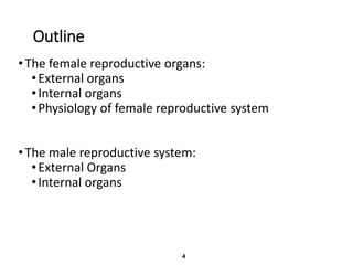 2-ANATOMY%20AND%20PHYSIOLOGY%20-%20Copy.ppt