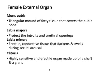 2-ANATOMY%20AND%20PHYSIOLOGY%20-%20Copy.ppt
