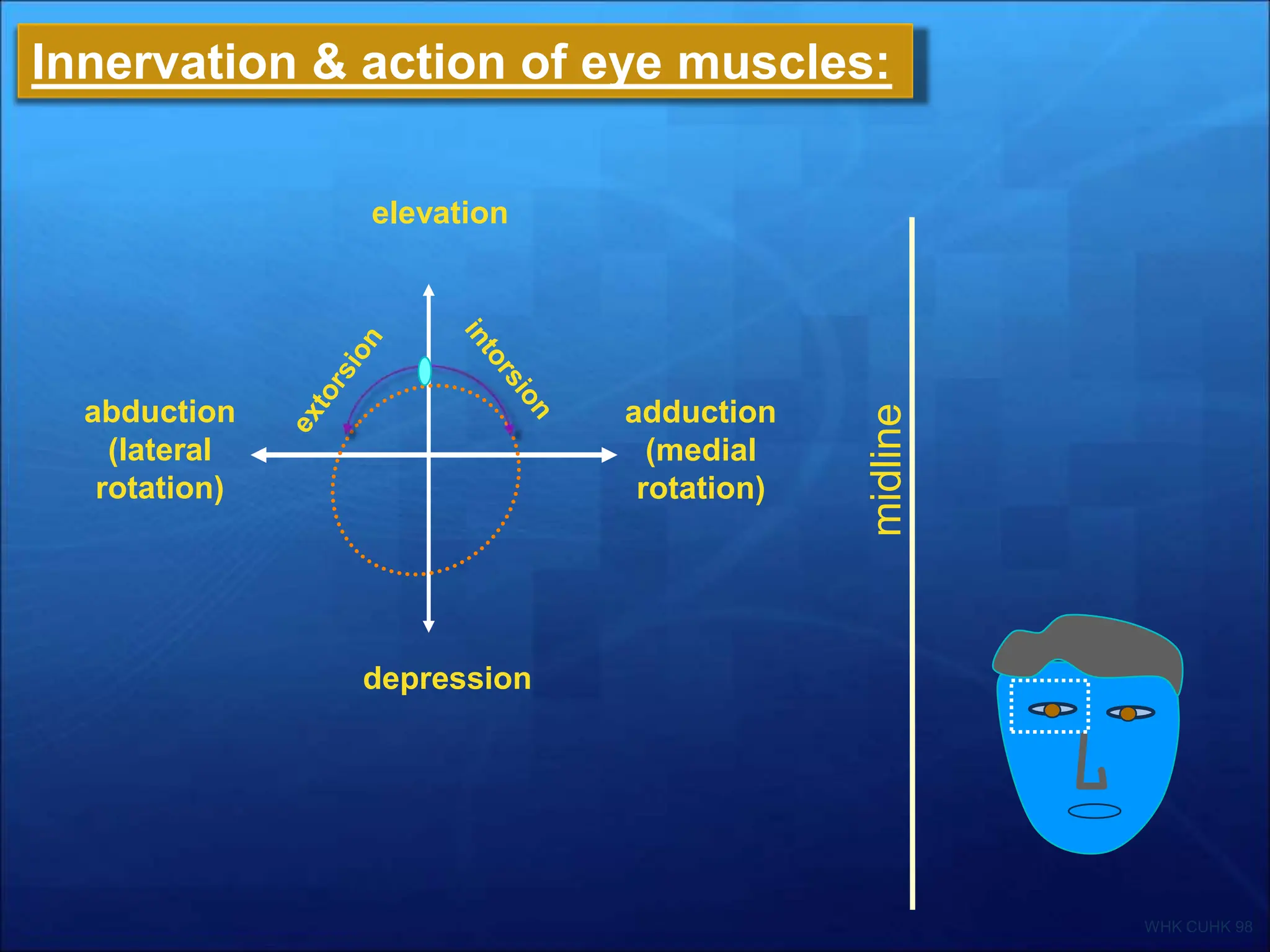 2- anatomy and physiology of the eye (Dr. essam.ppt
