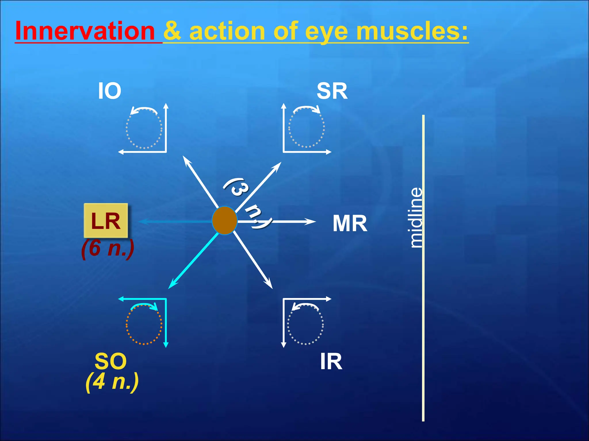 2- anatomy and physiology of the eye (Dr. essam.ppt
