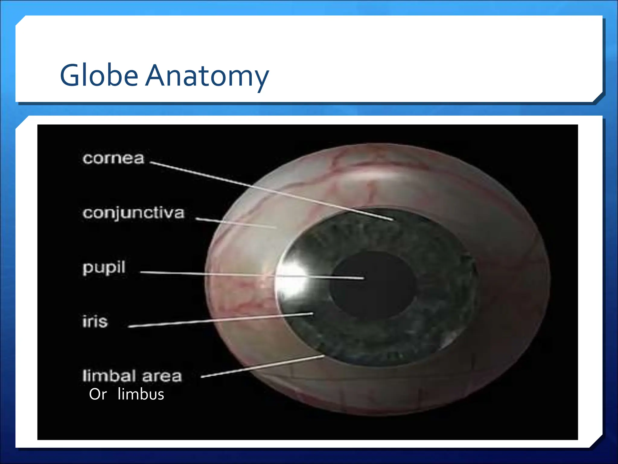 2- anatomy and physiology of the eye (Dr. essam.ppt