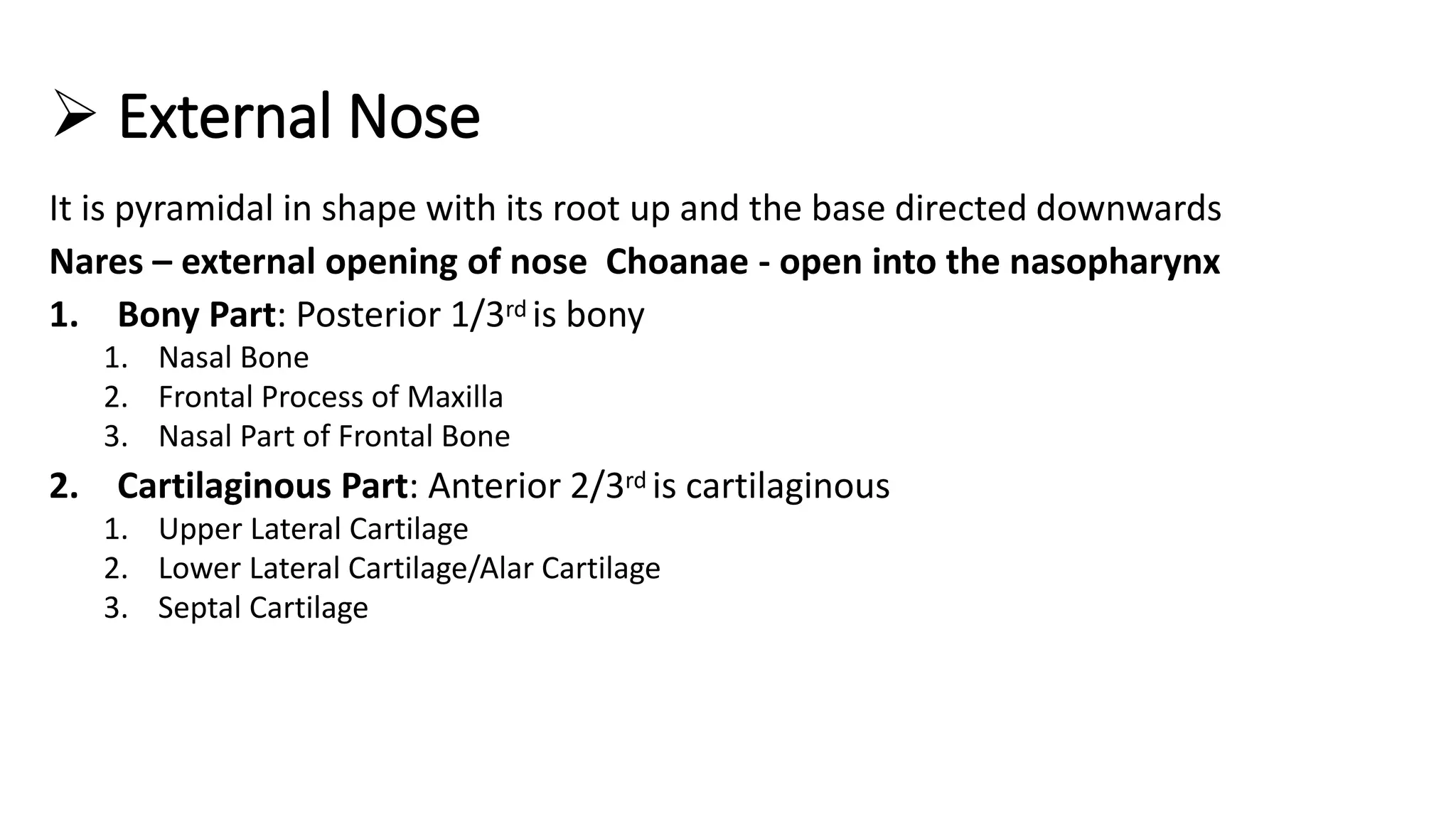 Anatomy of The Nose | PPTX