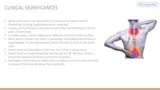 2- Anatomy of the Spinal Cord edited.pdf