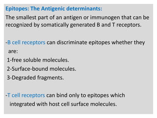 2 antigens, immunogens, epitopes, and haptens | PPTX