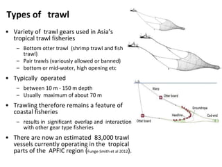 Managing tropical trawl fisheries Development of the APFIC regional ...