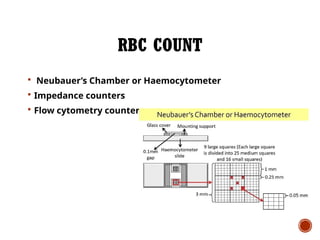 Approach to anemia in hematopathology ppt | PPTX