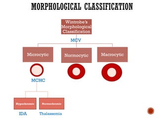 Approach to anemia in hematopathology ppt | PPTX