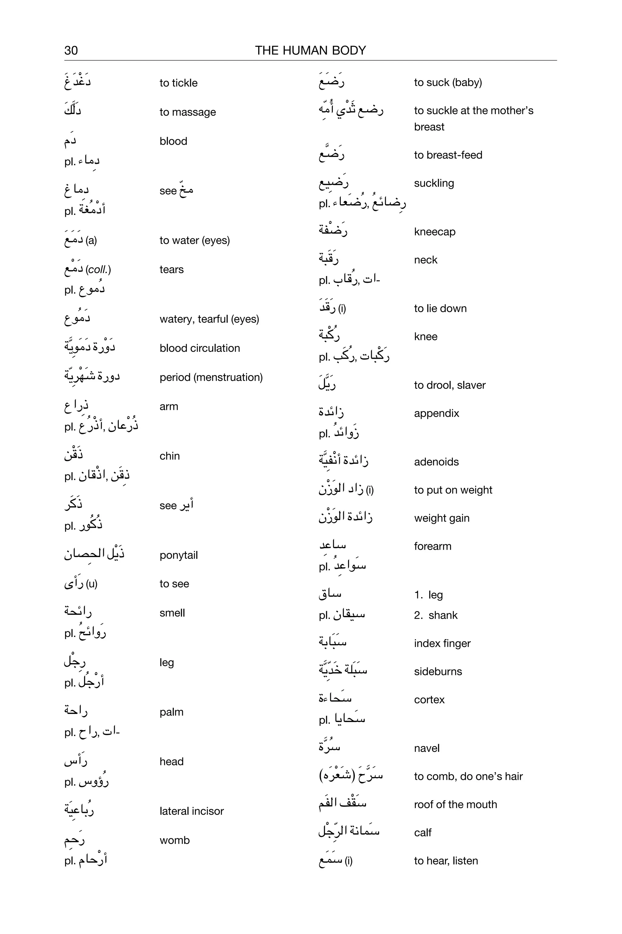 2- Arabic-English Thematic Lexicon.pdf