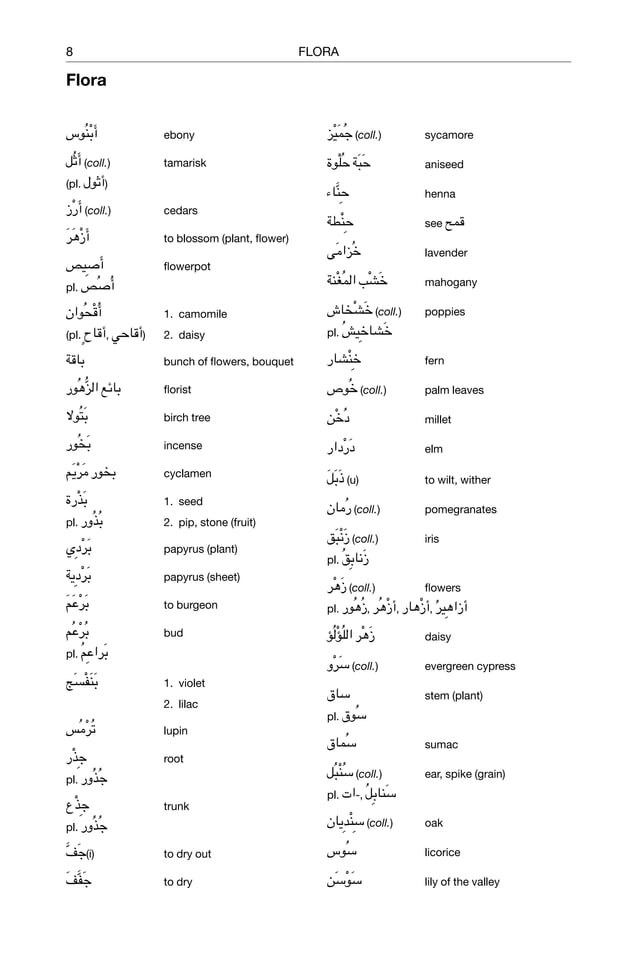 2- Arabic-English Thematic Lexicon.pdf