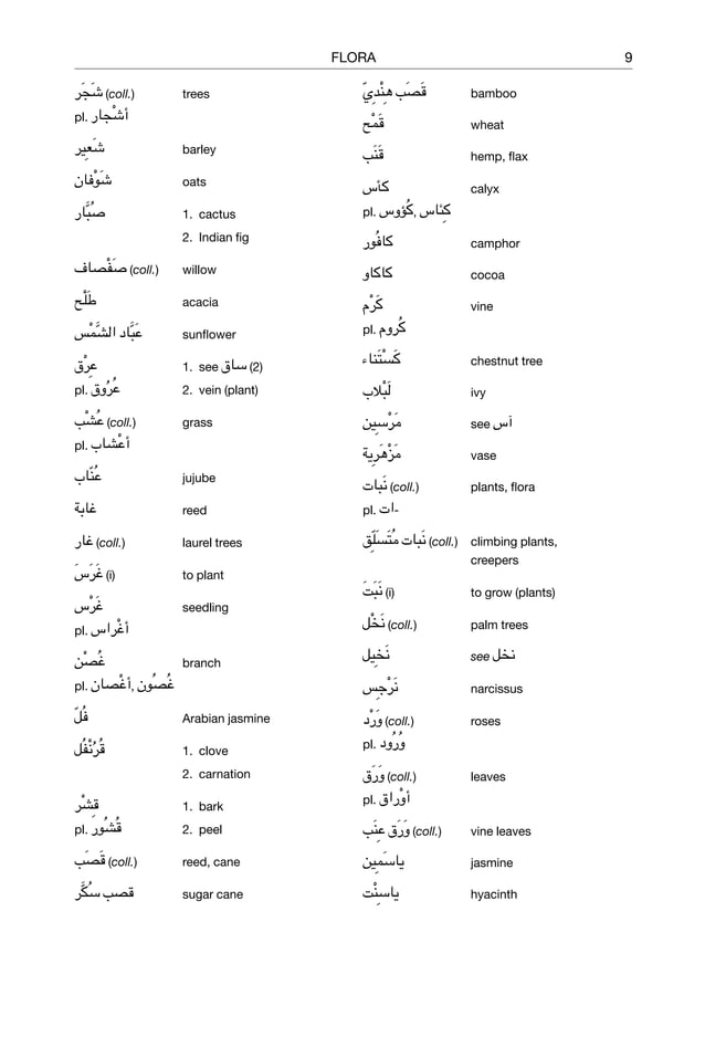 2- Arabic-English Thematic Lexicon.pdf