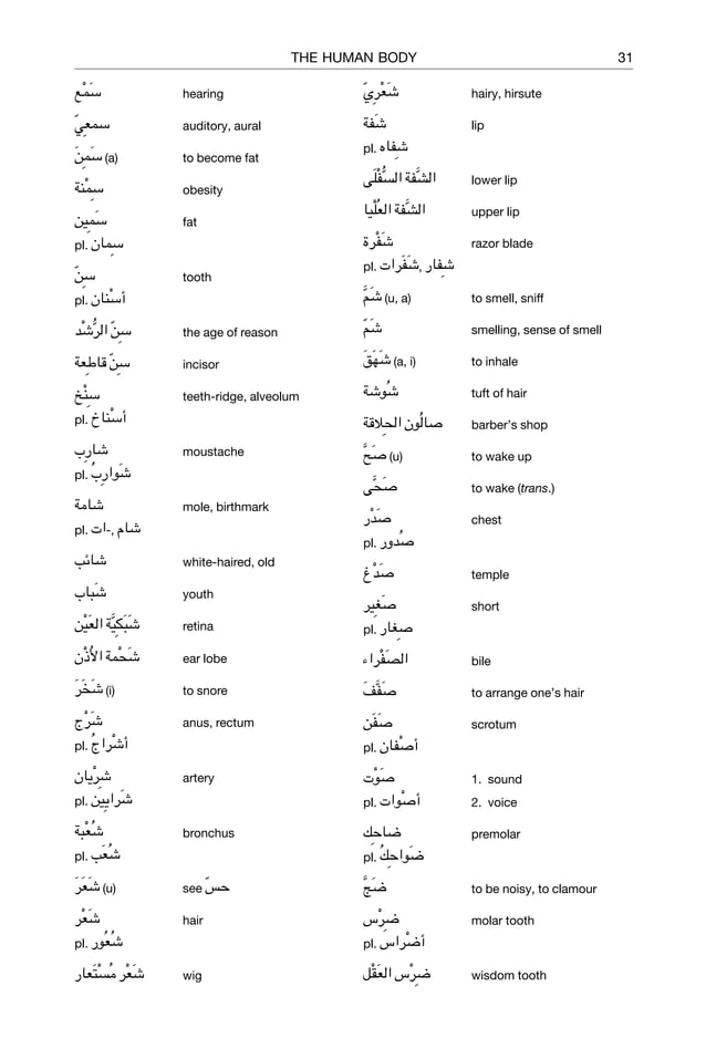 2- Arabic-English Thematic Lexicon.pdf