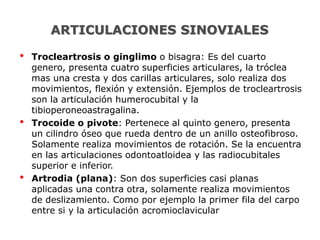 2 articulaciones | PPTX