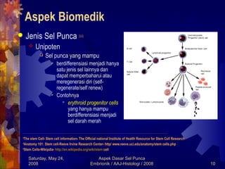 2 aspek dasar sel punca | PPT
