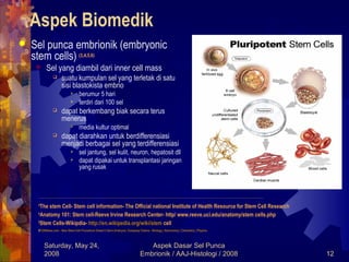 2 aspek dasar sel punca | PPT