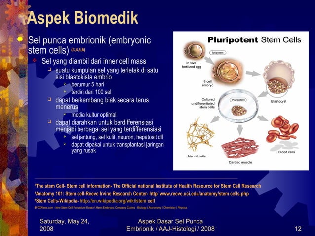 2 aspek dasar sel punca | PPT