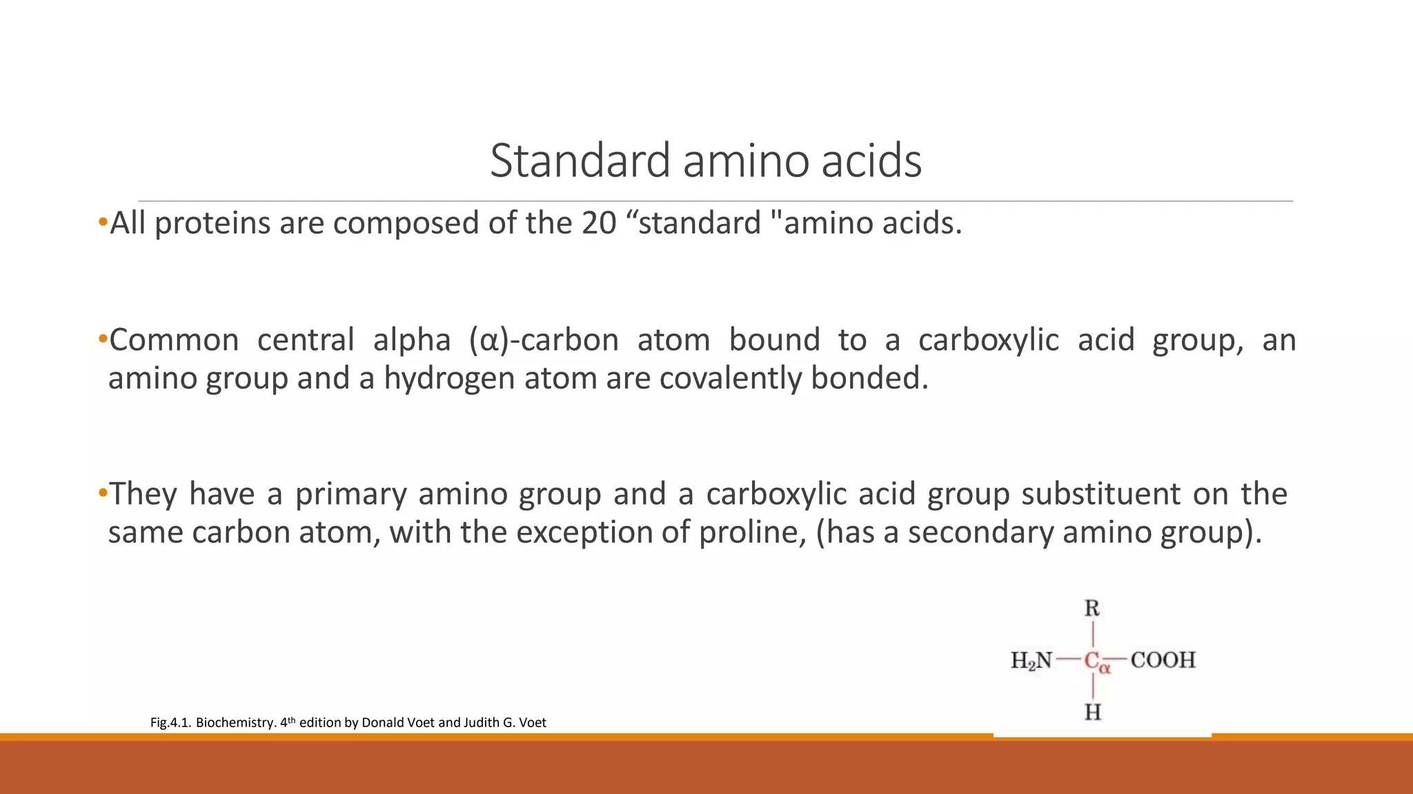 Structures of Amino Acids | PPTX