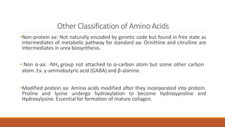 Structures of Amino Acids | PPTX